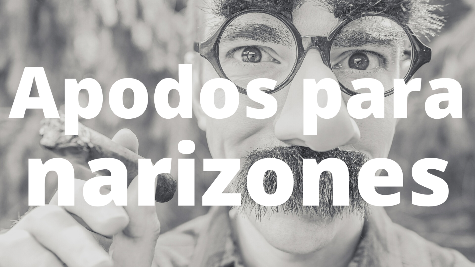 Apodos Para Narizones | Los MEJORES Del 2025